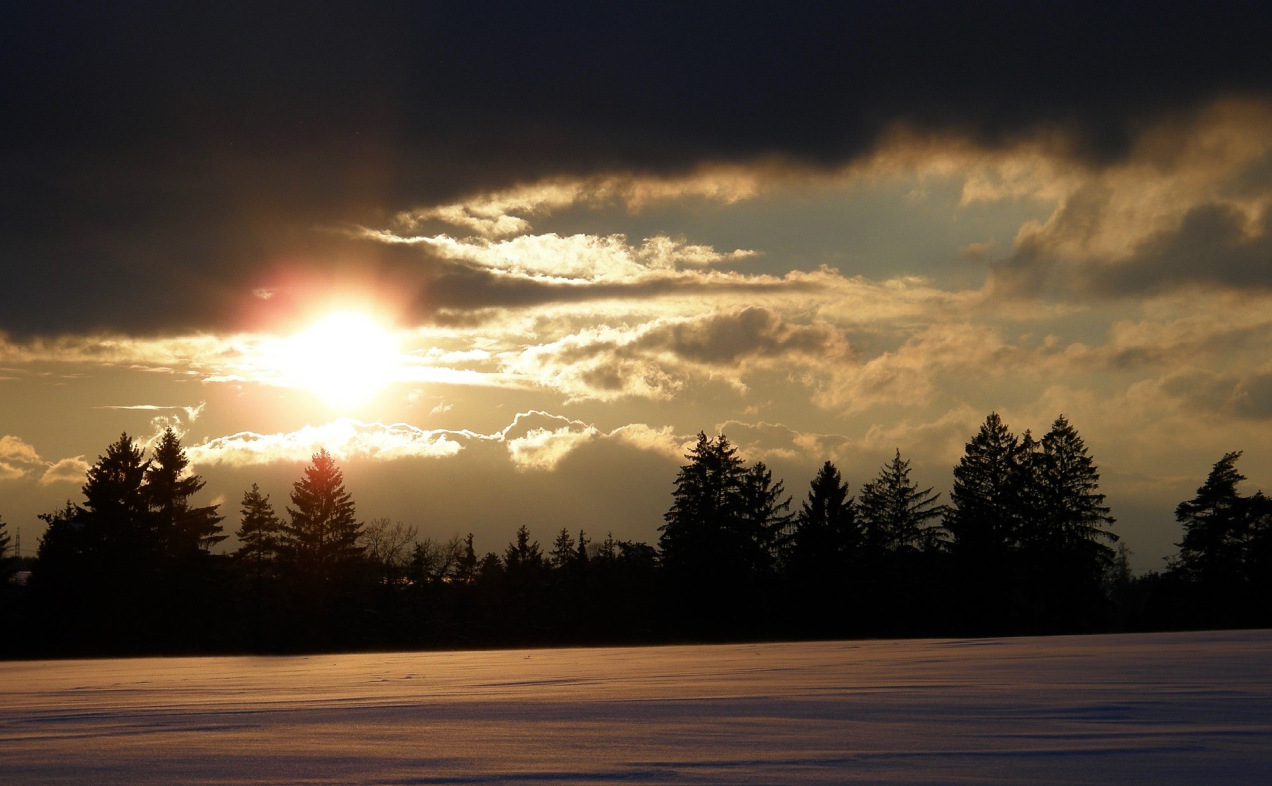 The Scandinavian design tradition of Arthur Holm - arthurholm